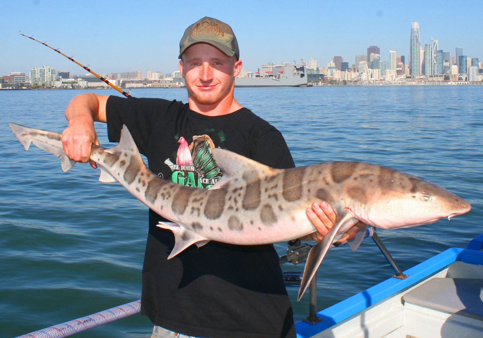 Shark Fishing in San Francisco at Flash Sport Fishing Charters
