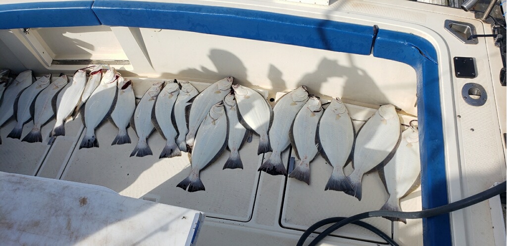 S F Fishing report 5/22/23a - Flash Sport Fishing Charters