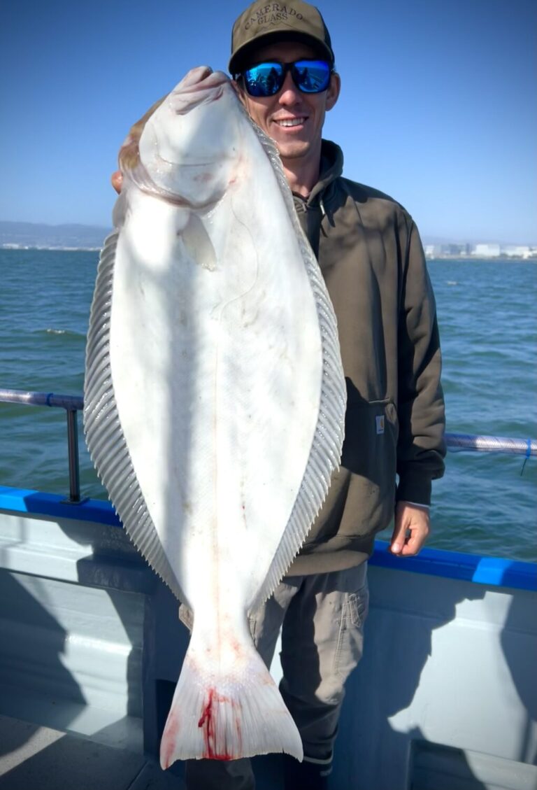 Flash Fishing Fishing report 6/14/23 - Flash Sport Fishing Charters