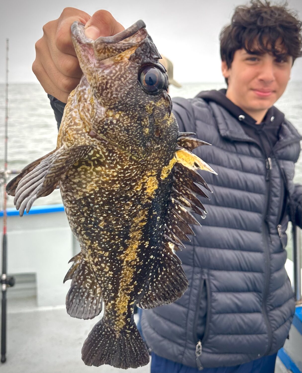Flash Fishing report 7/19/25 - Flash Sport Fishing Charters